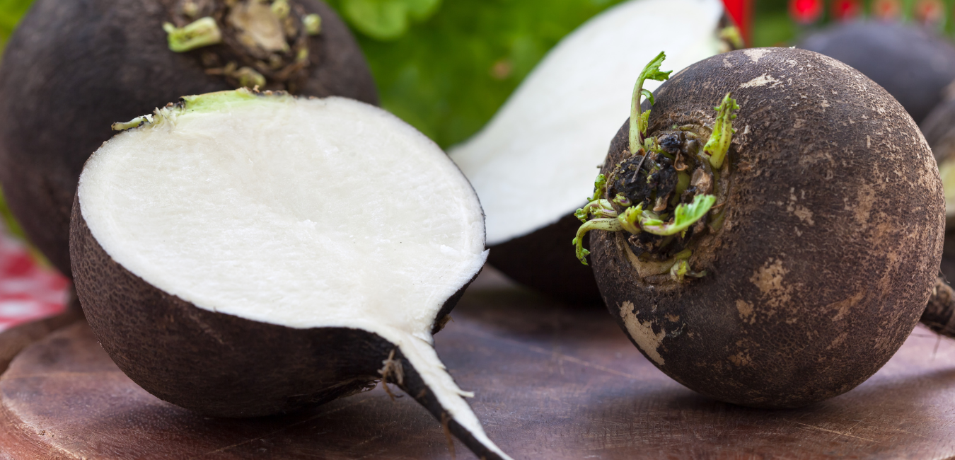 Recept za fertility-relish od crne rotkve - NuFerti d.o.o.